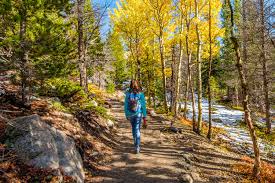Fall Activities that Burn Extra Calories! – Shredz Supplements